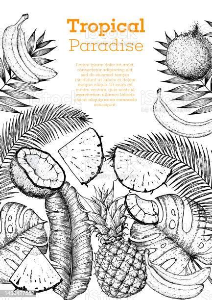파인애플 바나나 코코넛 열대 잎 디자인 템플릿 손으로 그린 벡터 열대 과일 일러스트 새겨진 스타일의 과일 배너 빈티지 식물