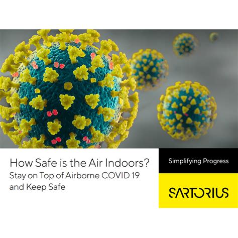 Sartorius Gelatine Membrane Filter Virus Detection Workflow Sartorius
