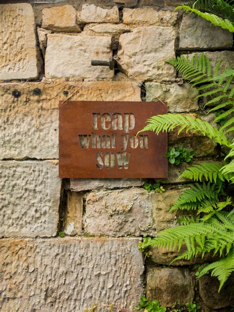 Rusty Re Foundobjects