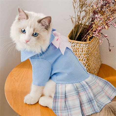20 Best Female Cat Dress Outfits That Are Cute And Stylish 2023