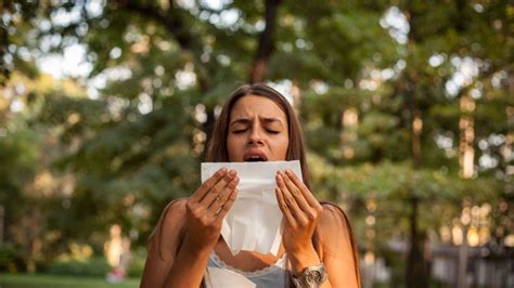 Canada S Billion Trees Program Combating Climate Change And Navigating Tree Pollen Allergies