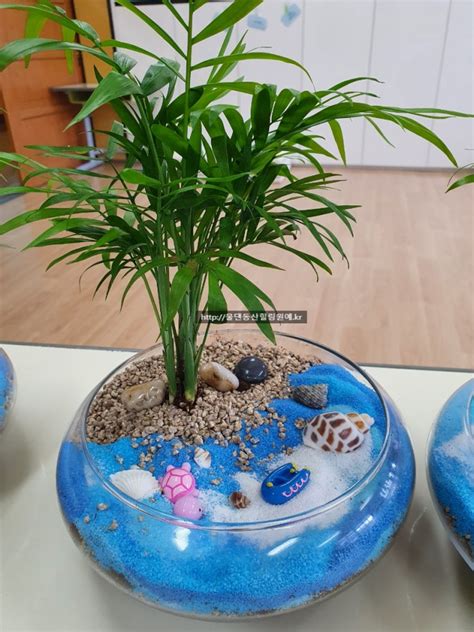여름 테라리움 울산원예치료 도움반 특수학급원예수업 원예키트 경주 포항 영천 부산 울산 네이버 블로그