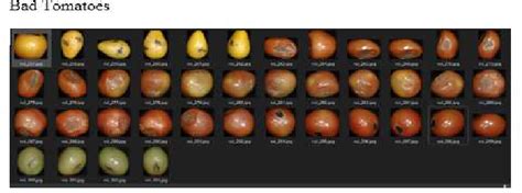 Figure 8 From Automated Sorter And Grading Of Tomatoes Using Image Analysis And Deep Learning
