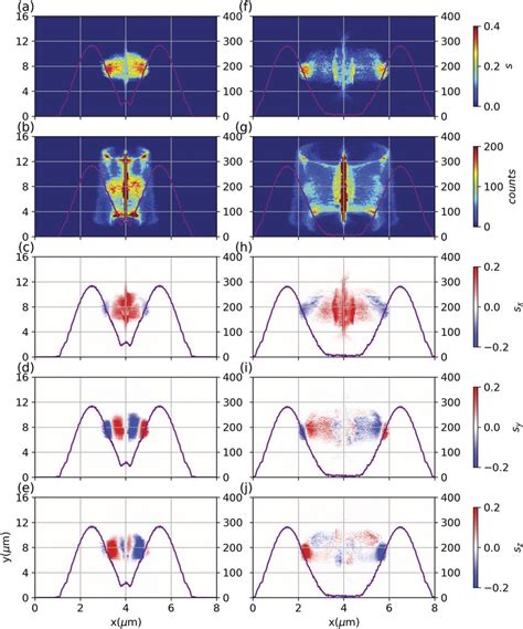 Snapshots Of The Spin Distribution Ae The Spatial Distribution Of Download Scientific