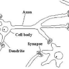 Causal Loop Diagram For HIV AIDS Model Download Scientific Diagram