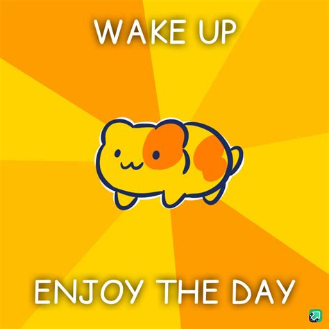 Its Cuuuute Meme On Imgur