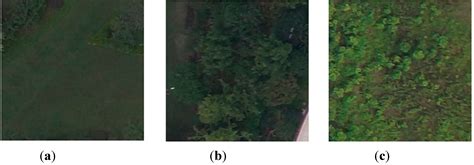 Remote Sensing Free Full Text UAV Remote Sensing For Urban Vegetation Mapping Using Random