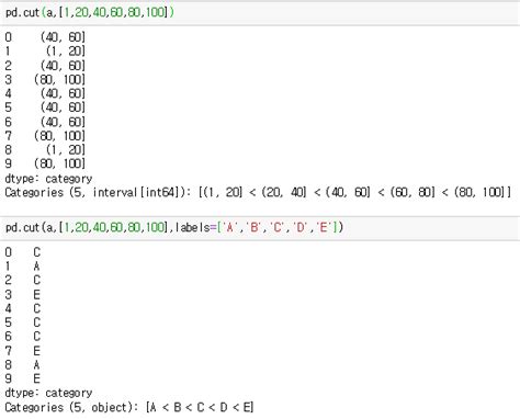 Python Pandascut 별별정보