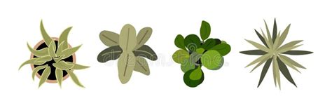 Set Of Different Potted House Plants Top View Stock Vector