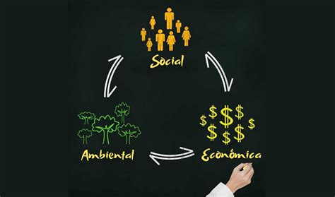 Afinal Qual O Verdadeiro Significado De Sustentabilidade
