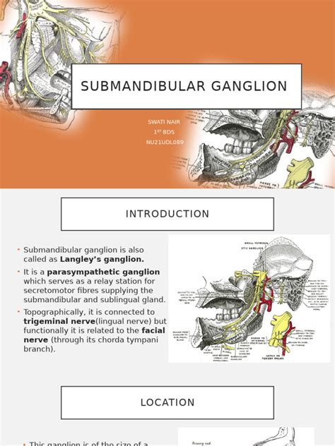 Submandibular Ganglion Pdf