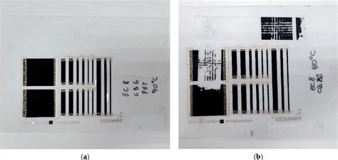 Figure 1 From Carbon Based Composites With Biodegradable Matrix For
