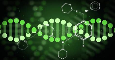 Dna Strand And Molecular Structures Animation Over Green Background Stock Video Video Of Code