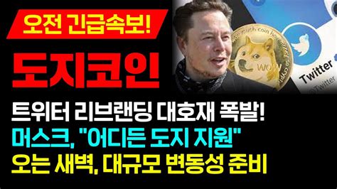 오전 긴급속보 도지코인 트위터 리브랜딩 대호재 폭발 머스크 어디든 도지 지원오는 새벽 대규모 변동성 준비도지코인전망 Youtube