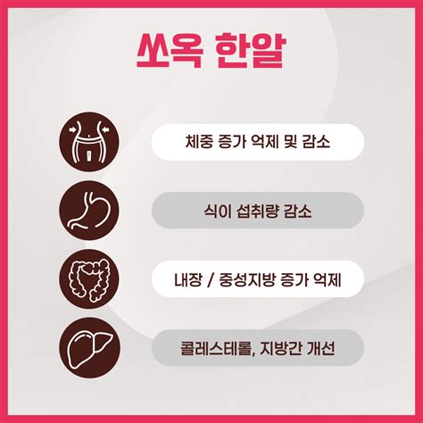 10kg 책임 감량 프로그램 경희팔팔한의원 다이어트