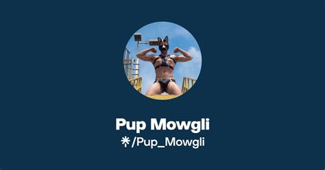 Pup Mowgli Find Pup Mowgli Onlyfans Linktree