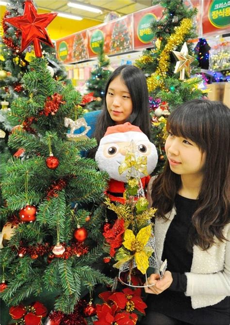 홈플러스 올인원 크리스마스 트리 세트 판매 아주경제