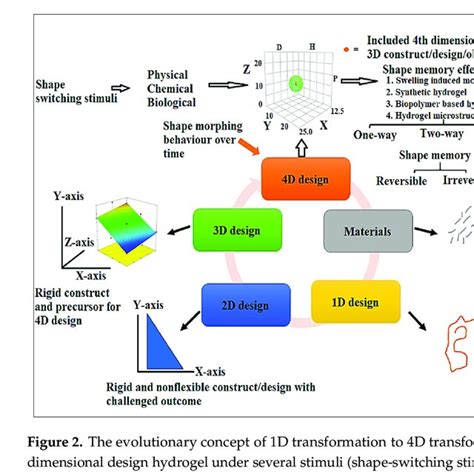 The Evolutionary Concept Of 1d Transformation To 4d Transformation In