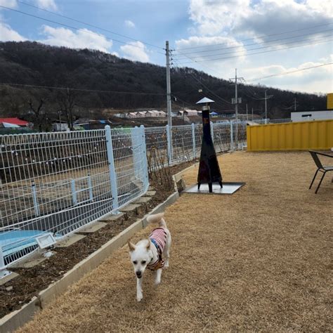 반려생활 [애견펜션추천] 천안 프라이빗 독채 펜션