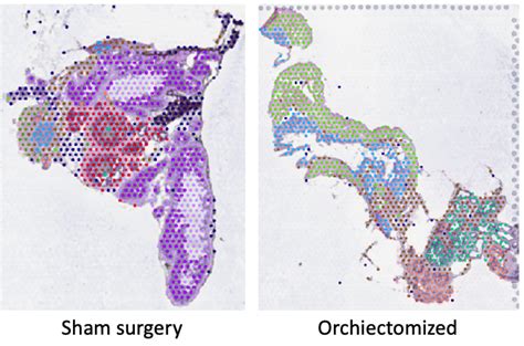 SCSAP Single Cell Spatial Analysis