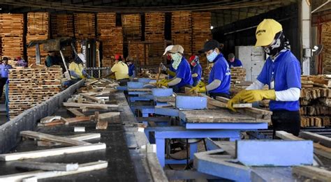 Uks Participation In Cptpp And Opportunities For Vietnam