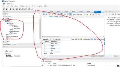 C编程基础（下）第七课：adonet数据库开发（三）dataset 对象和dataadapter 对象的使用datareader和