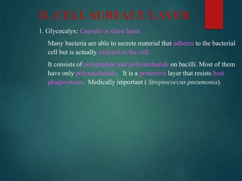 Bacterial Cell Structure And Function 1 Ppt