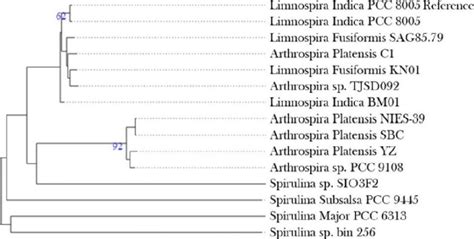 Figure 1 From Whole Genomic Sequencing And Bioinformatic Analysis Of
