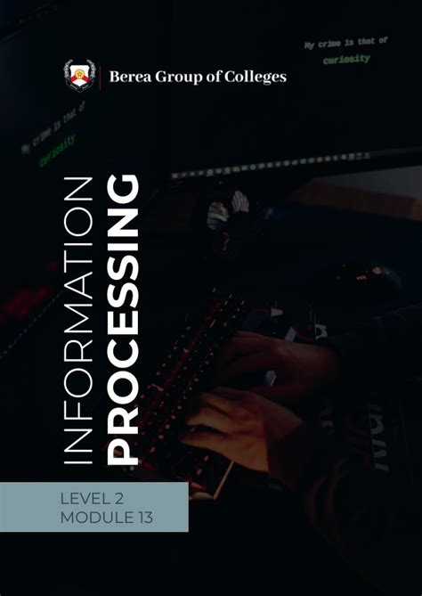 Information Processing Level 2 Module 13 By E Publishing