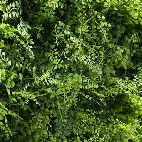 Buy Artificial Fence Fern With Led Solar Light 100 X 100cm Online