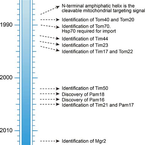 The Presequence Pathway A Timeline Of Discovery Download Scientific Diagram