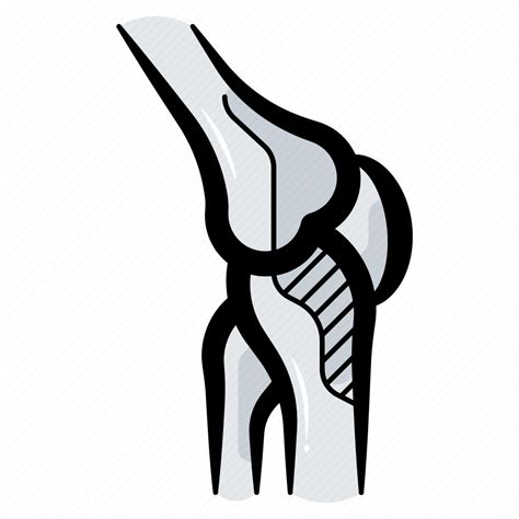 Knee Skeleton Knee Knee Bone Knee Joint Bones Human Knee Joint Icon Download On Iconfinder