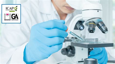 Icap Update Of Ana Pattern Classification