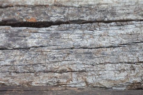 Texture Log Stock Image Image Of Industry Pattern Stump 84938767