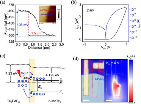Figure 1 From Self Powered Photodetector With High Polarization