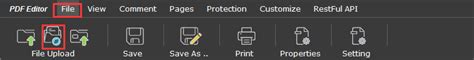 How To Generate Open View Display PDF File In Div Iframe Using Asp