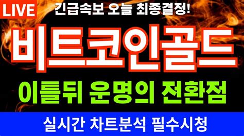비트코인골드 코인전망 🔥긴급🔥이틀뒤 운명의 전환점 Eth 현물 승인 기대감 비트코인 폭등 긴급속보 비트코인실시간 비트코인골드 Youtube