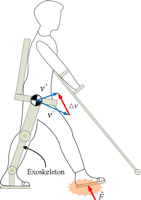 Figure 1 From Trajectory Modulation For Impact Reducing Of Lower Limb Exoskeletons Semantic