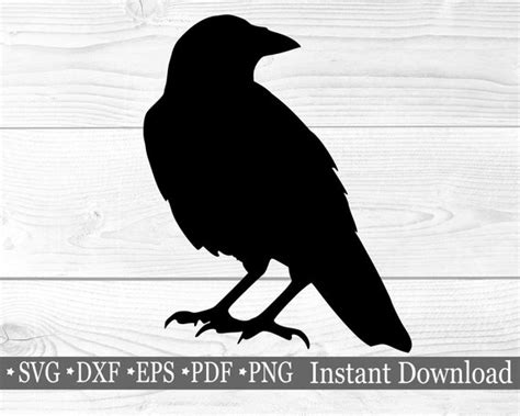 Halloween Crow Silhouette
