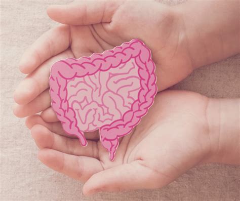 Gut Microbiome Testing Understanding Your Digestive Health