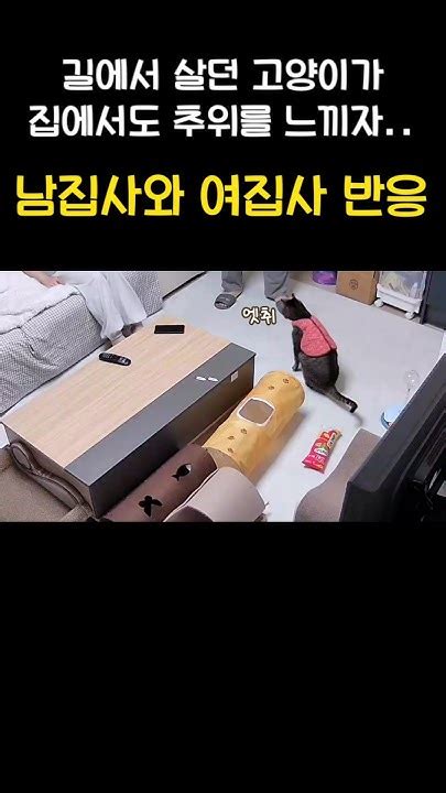 엄마와 아빠의 차이 ㅋㅋ Youtube