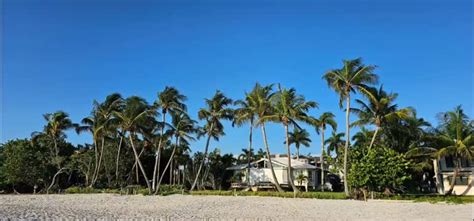 Video Emmanuel Buisson On Linkedin Floridaliving