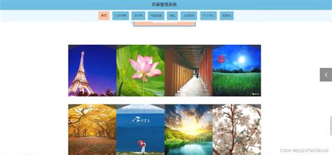 299springboot农业农事农作物管理系统（源码文档运行视频讲解视频）基于spring Boot的作物表型系统 Csdn博客