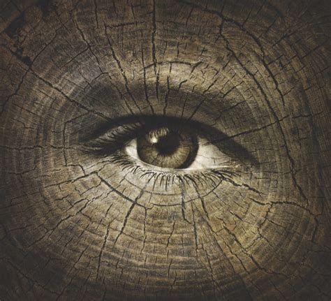 Aging And The Meaning Of Life