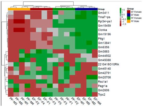Sex Specific Whole Transcriptome Analysis In The Cerebral Cortex Of Fae