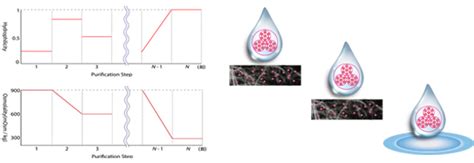 Mdmtable05 바이오플러스주 Bioplus Co Ltd