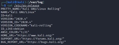 How To Update Kali Linux BuildVirtual