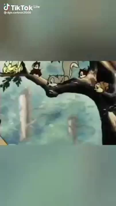 Morteza Saheb Posted On Linkedin