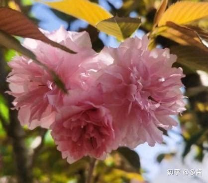 干净且治愈的文案短句 适合发朋友圈的优质短句 知乎