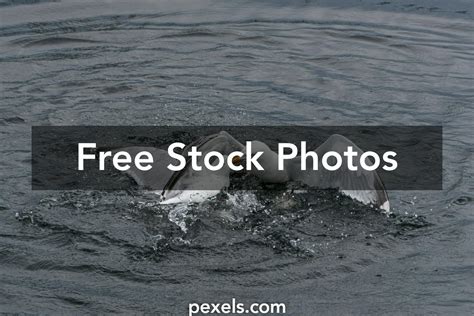 Fighting Inheritance Illustrations Photos Download The Best Free Fighting Inheritance